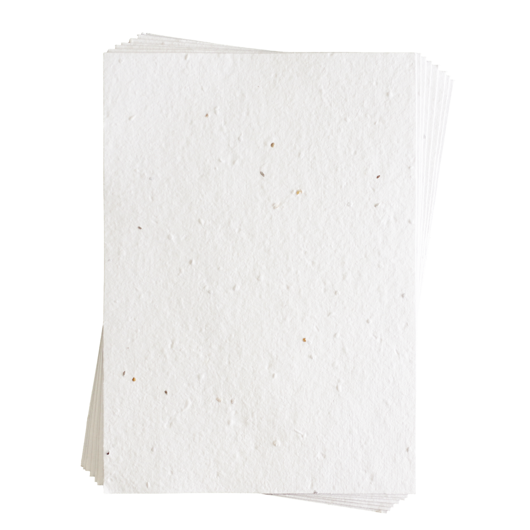 Handmade Seed Paper – Plain Canvas Collective